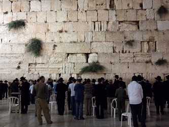 A Random Walk With Rashi: Gesundheit - TC Jewfolk