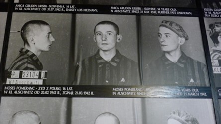 Finding Moshe Pomerantz - TC Jewfolk