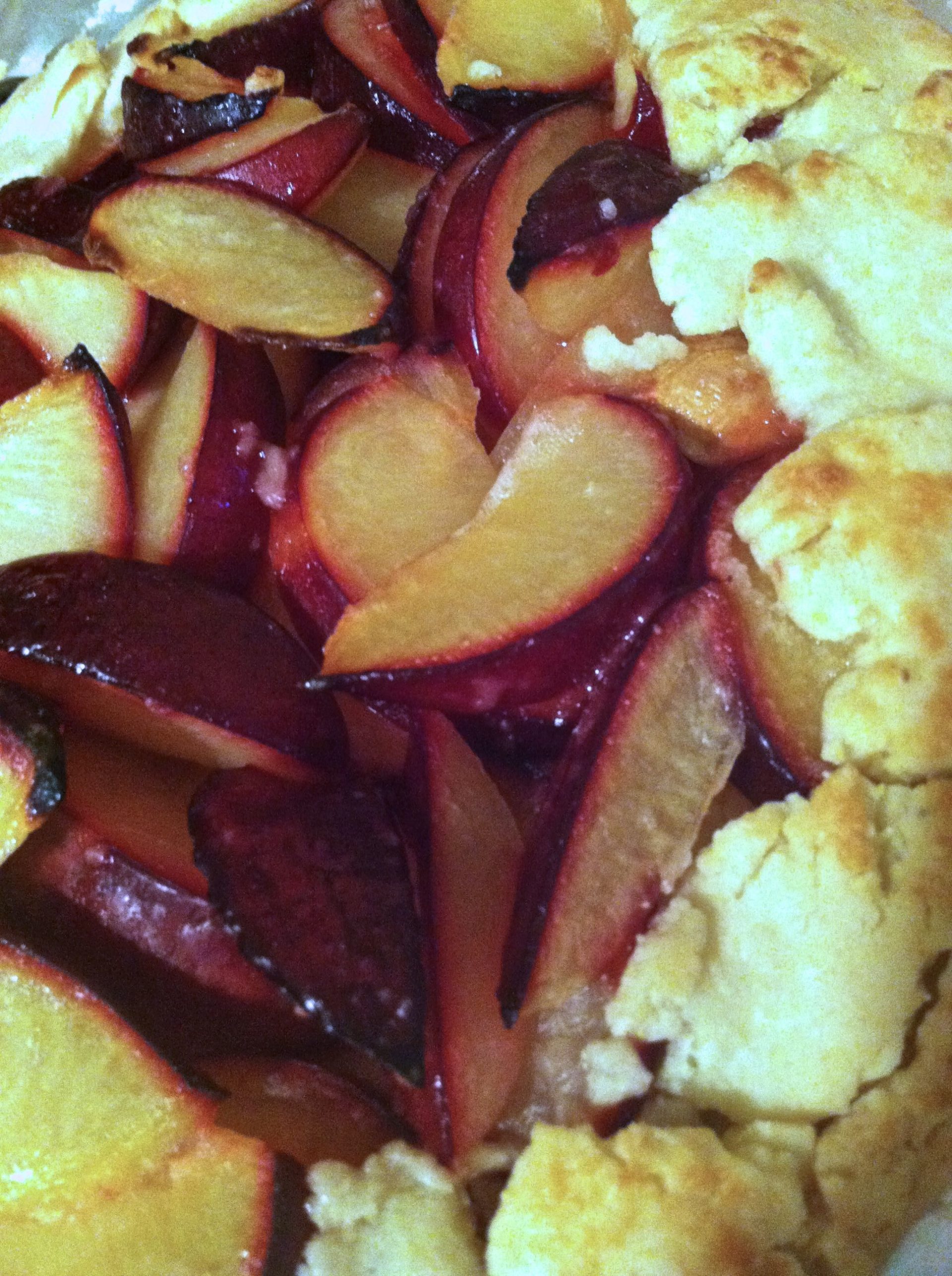 Rustic Plum Tart, Even Better With Ice Cream - TC Jewfolk