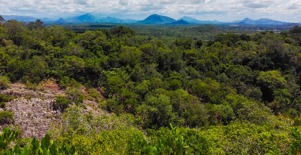 Rabbi Rappaport Taking On Jewish Climate Leadership Role - TC Jewfolk